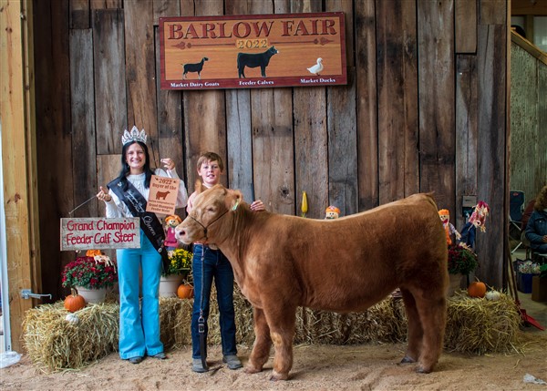 Barlow Fair grand champion raises funds for charity | News, Sports ...
